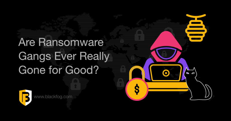Are Ransomware Gangs Ever Really Gone for Good? | BlackFog