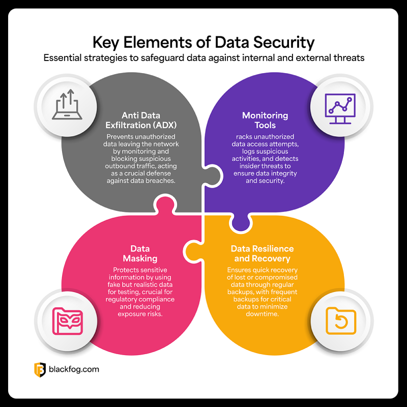 5 Steps to Ensure Your Enterprise Data Security | BlackFog