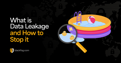 What is Data Leakage? Causes, Risks, and How to Stop it | BlackFog