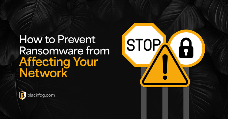 How to Prevent Ransomware from Affecting Your Network | BlackFog
