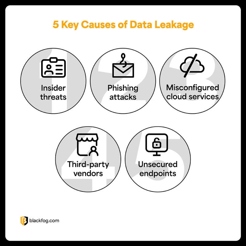 Data Leakage Demystified: Risks and Mitigation Strategies | BlackFog