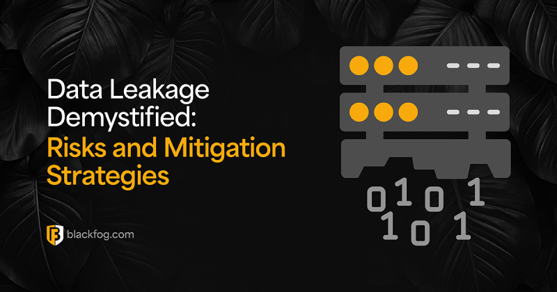 Data Leakage Demystified: Risks and Mitigation Strategies | BlackFog