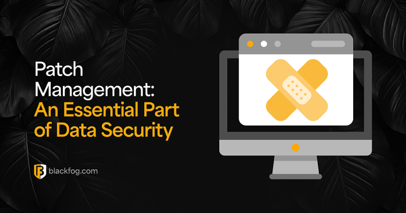 Patch Management: An Essential Part of Data Security | BlackFog