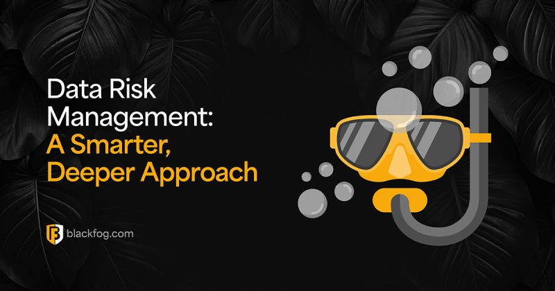 Data Risk Management: A Smarter, Deeper Approach | BlackFog